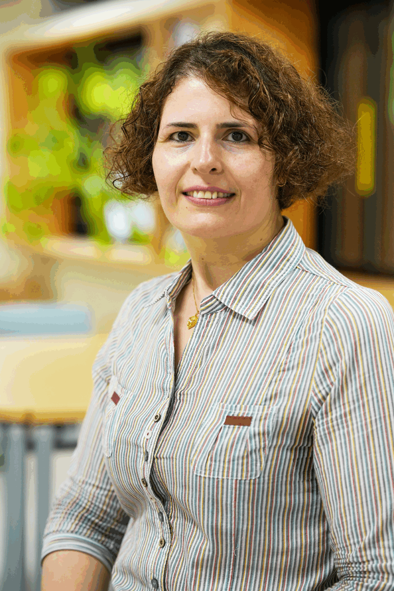 MIRZAEI, Azar | 京都大学 東南アジア地域研究研究所